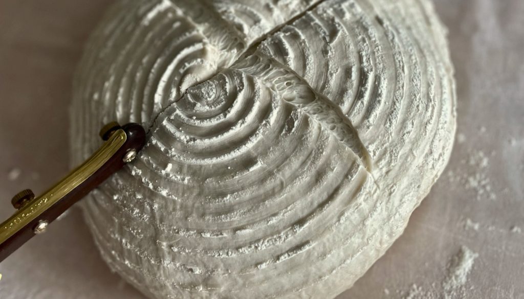 Best Whipped Cream Dispensers of 2025: Top Picks for Perfect Toppings