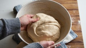 Sourdough Coil Fold Vs Stretch and Fold: Choosing the Best Method