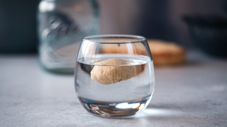 Sourdough Float Test: Your Guide to Starter Readiness